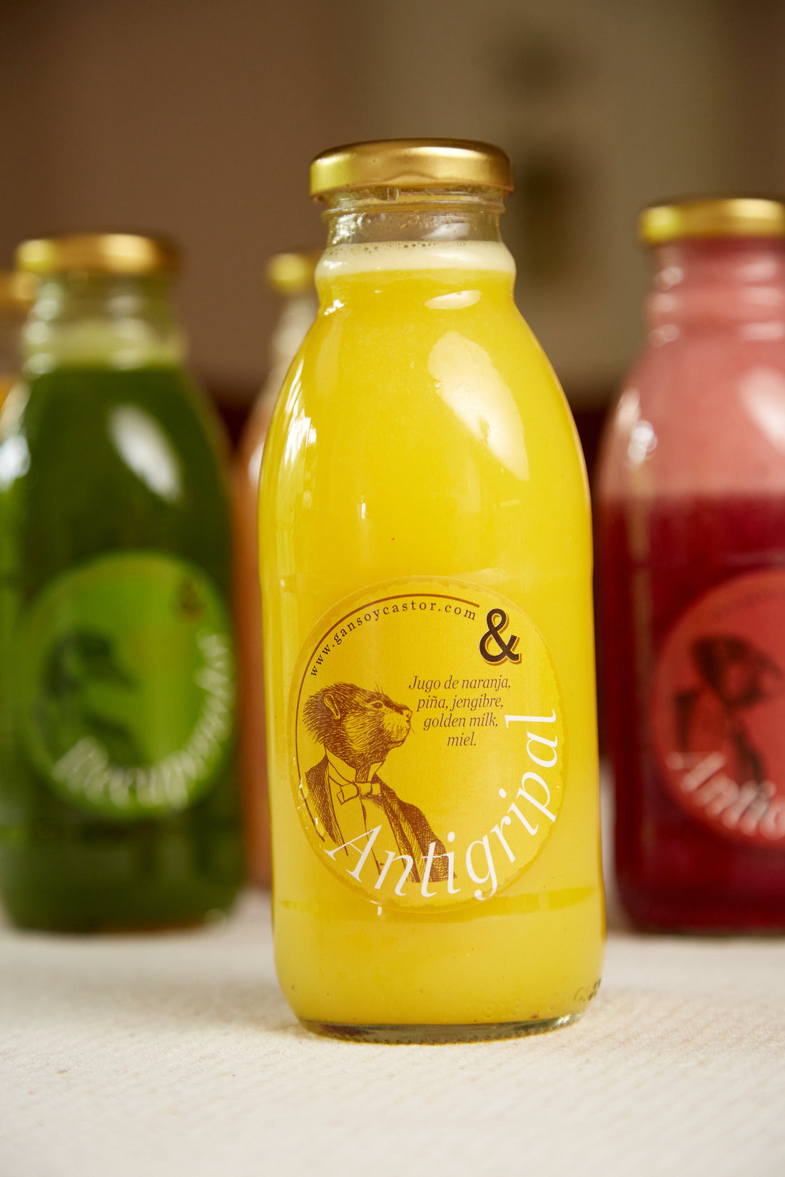 JUGO ANTIGRIPAL – Ganso & Castor